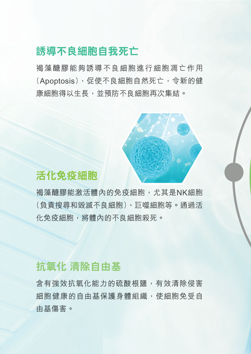 COSWAY 香港網上商店 - Nn 海藻配方錠狀食品